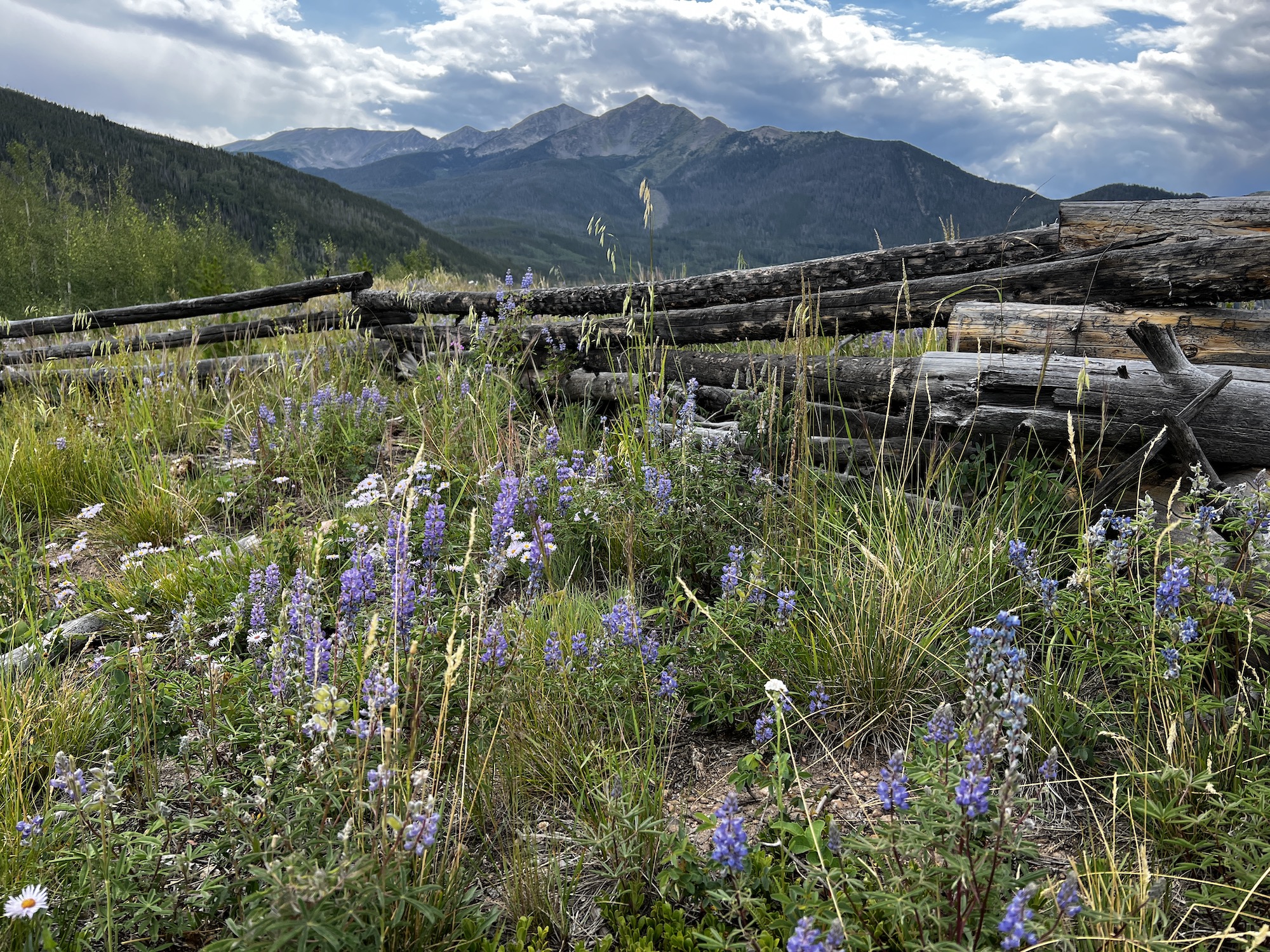 Something For Everyone – Top 10 Things to Do in Summit County in the ...